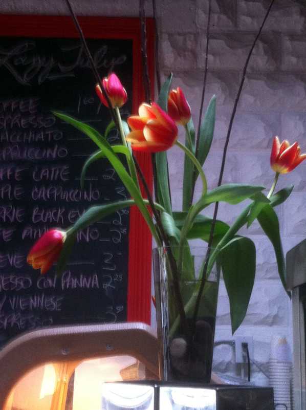 About The Lazy Tulip Cafe - Taste Trekkers