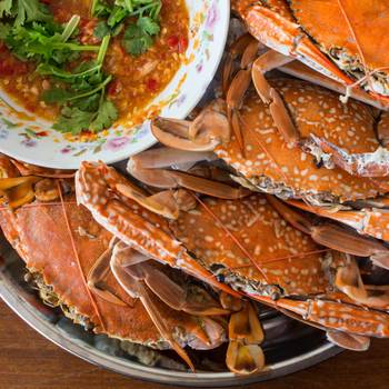 Experience the Flavors and Tastes of Baltimore Maryland - Taste Trekkers